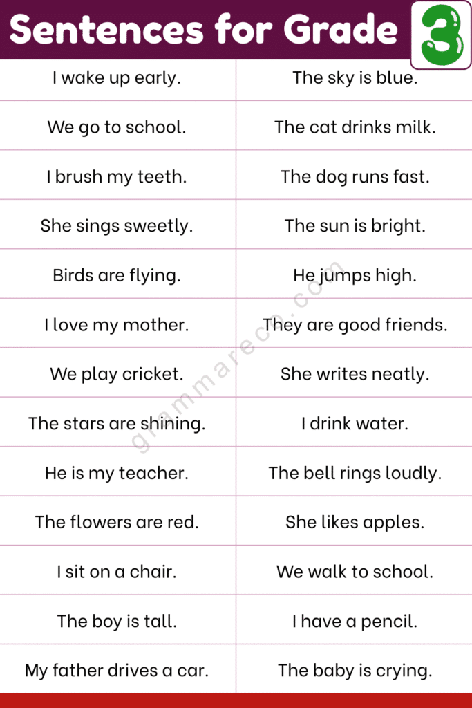 100+ Simple Sentences for Grade 3 to Read and Write Easily | Grammareco.com