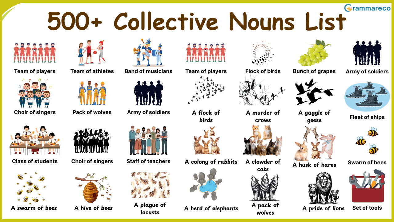 500+ Collective Nouns List for People, Animals and Things | Grammareco.com