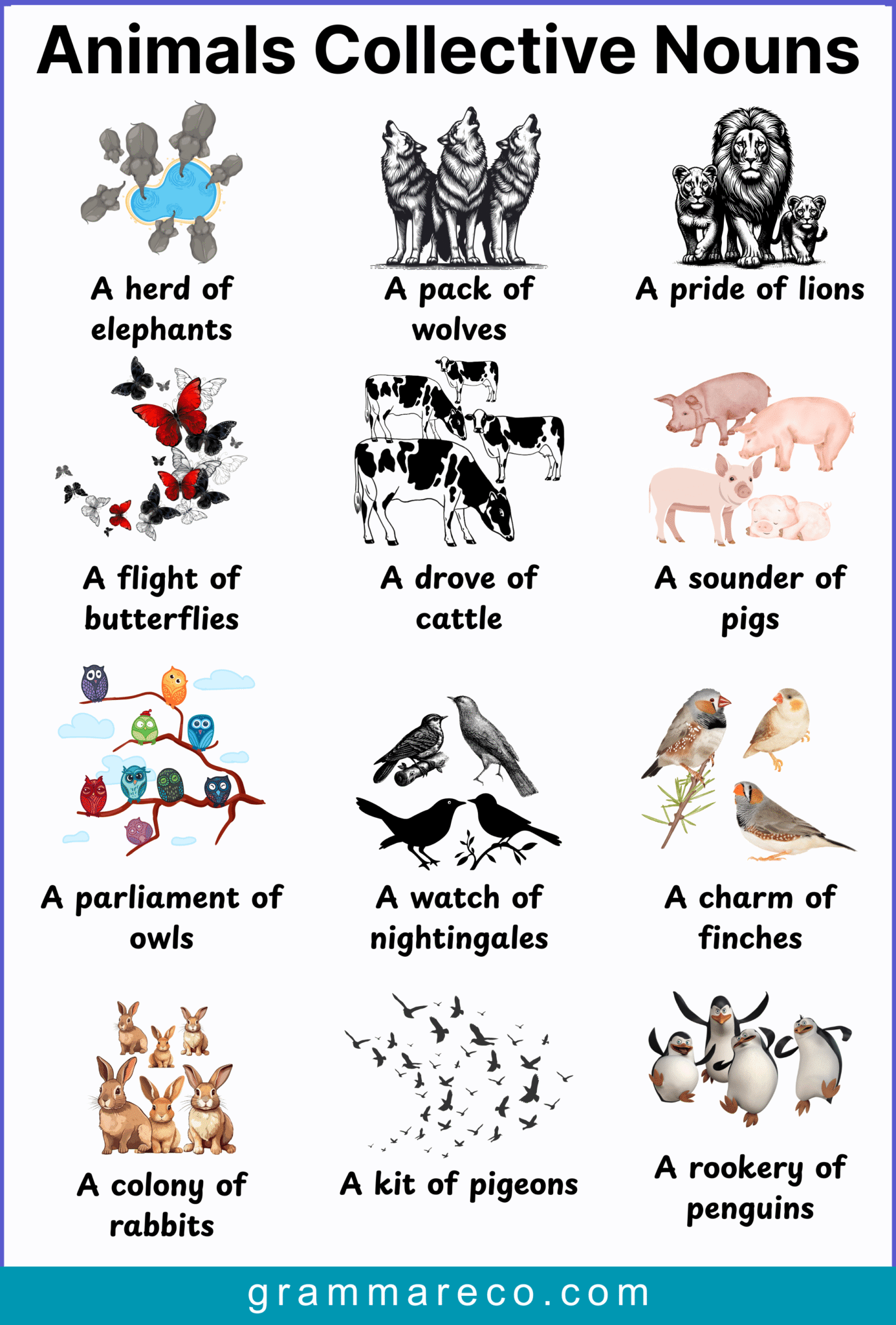 100+ Animals Collective Nouns List in English with Pictures ...