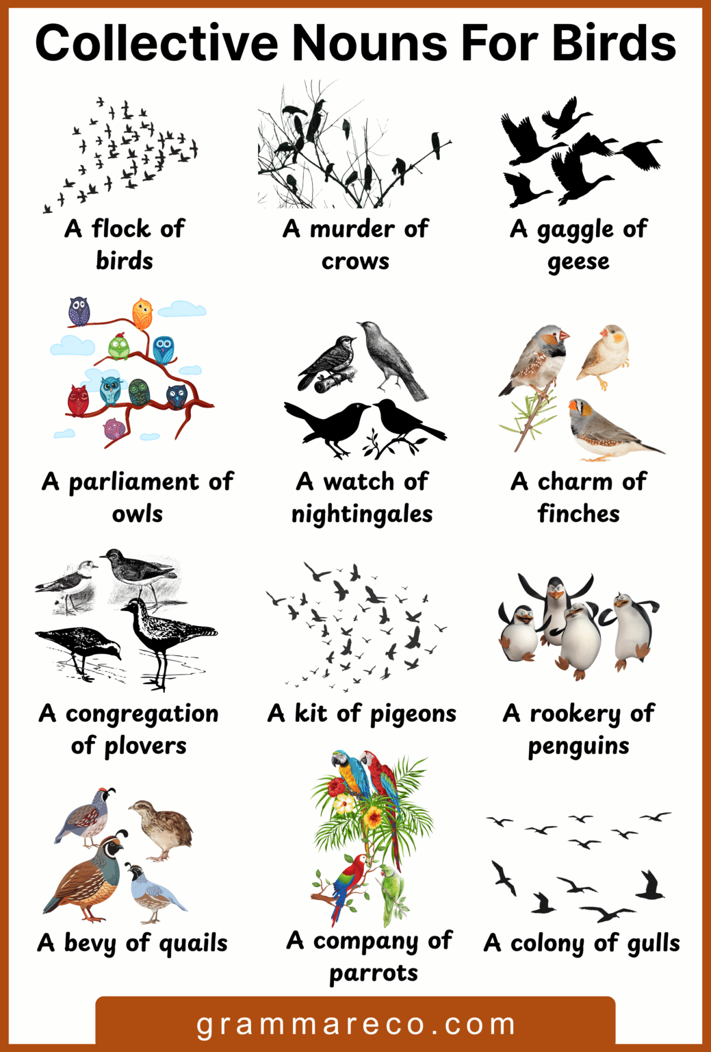 100+ Animals Collective Nouns List in English with Pictures ...