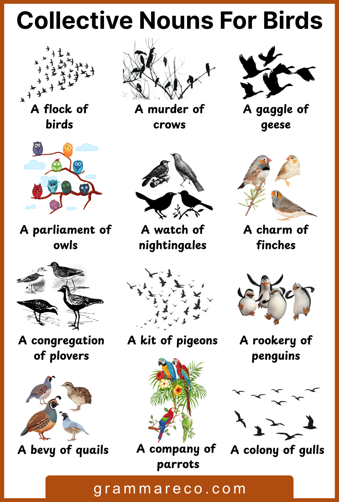 150+ Names of Group Animals: Collective Nouns with Pictures ...