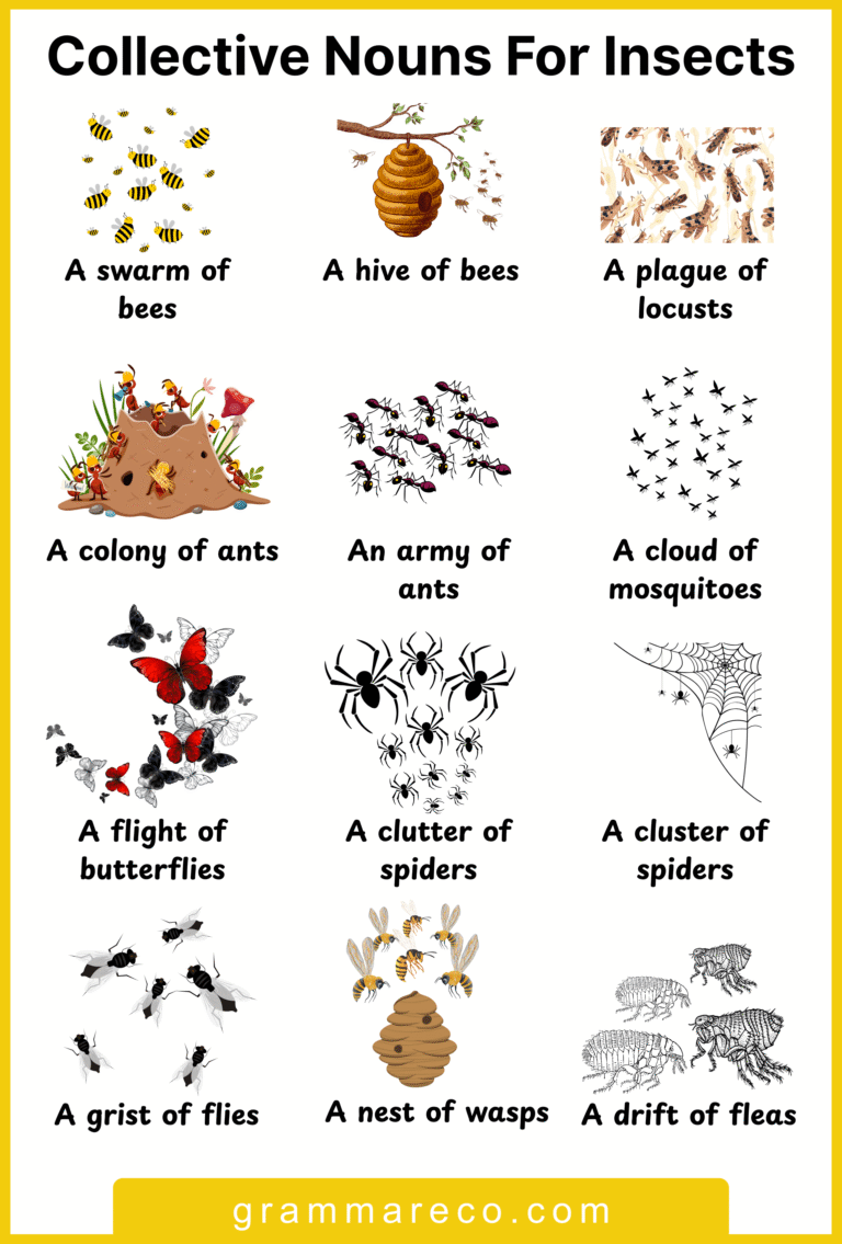 150+ Names of Group Animals: Collective Nouns with Pictures ...