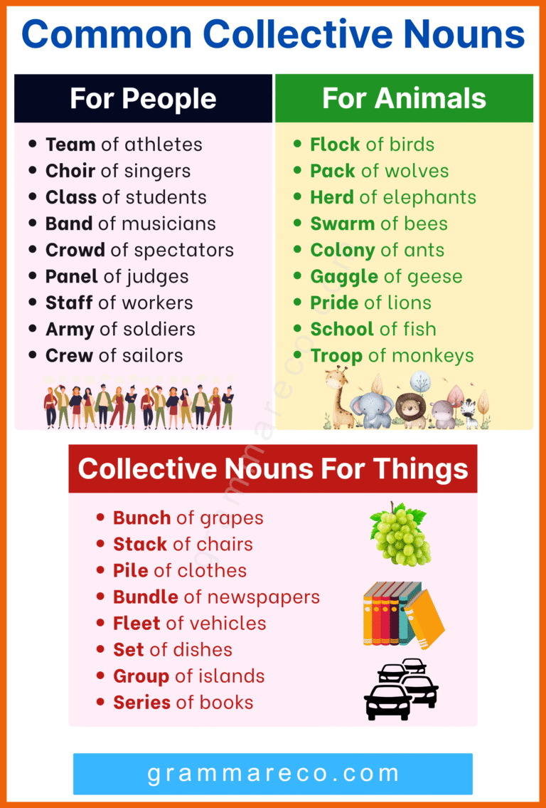 500+ Collective Nouns List for People, Animals and Things | Grammareco.com