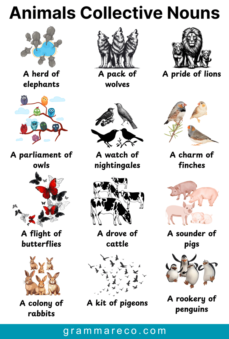 500+ Collective Nouns List for People, Animals and Things | Grammareco.com