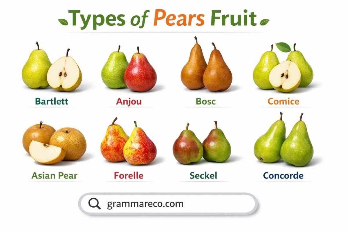 Pear Varieties: 21 Types of Pears with Pictures and Facts | Grammareco.com