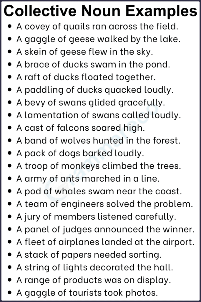 Top 100+ Collective Nouns Examples in Sentences in English | Grammareco.com