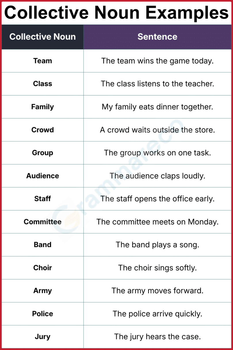 Top 100+ Collective Nouns Examples in Sentences in English | Grammareco.com
