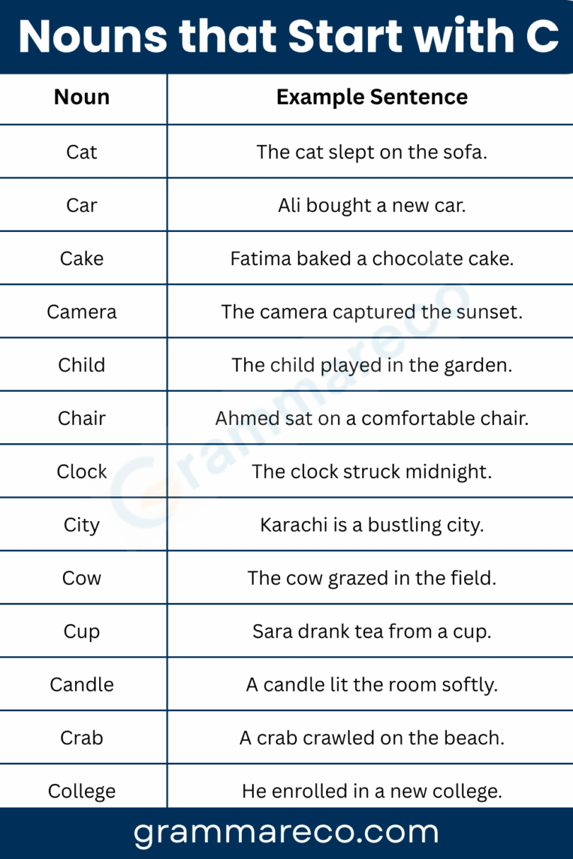 300+ Nouns that Start with a C in English with Pictures | Grammareco.com