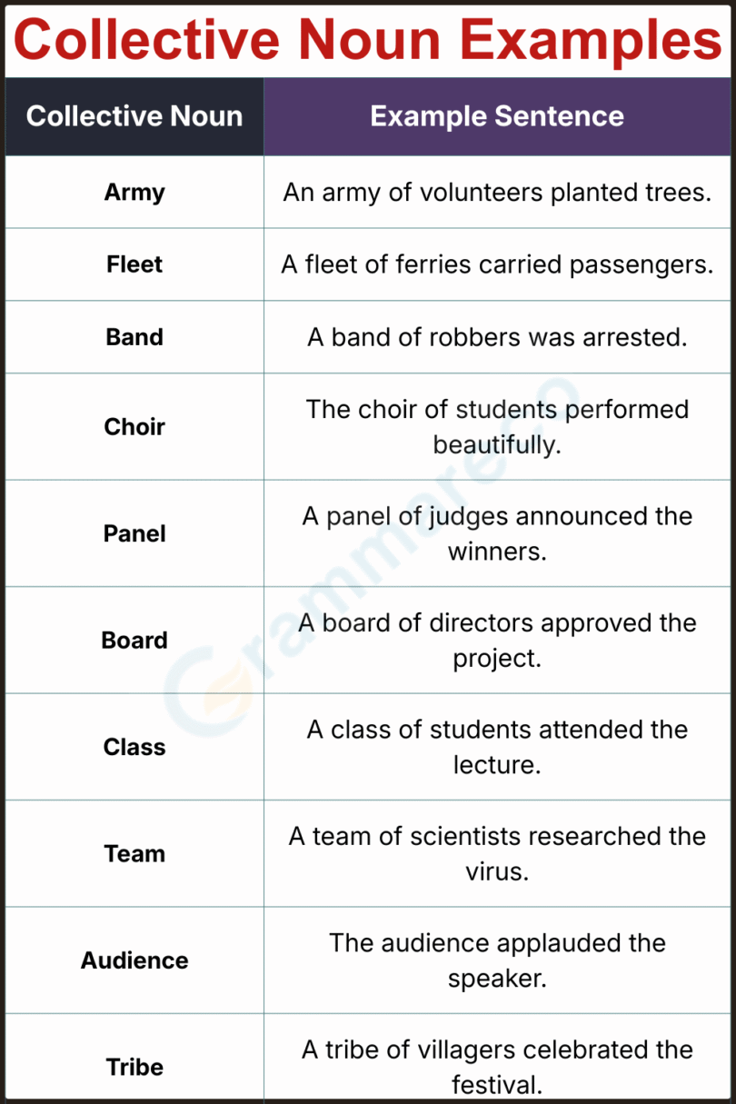 Top 100+ Collective Nouns Examples in Sentences in English | Grammareco.com