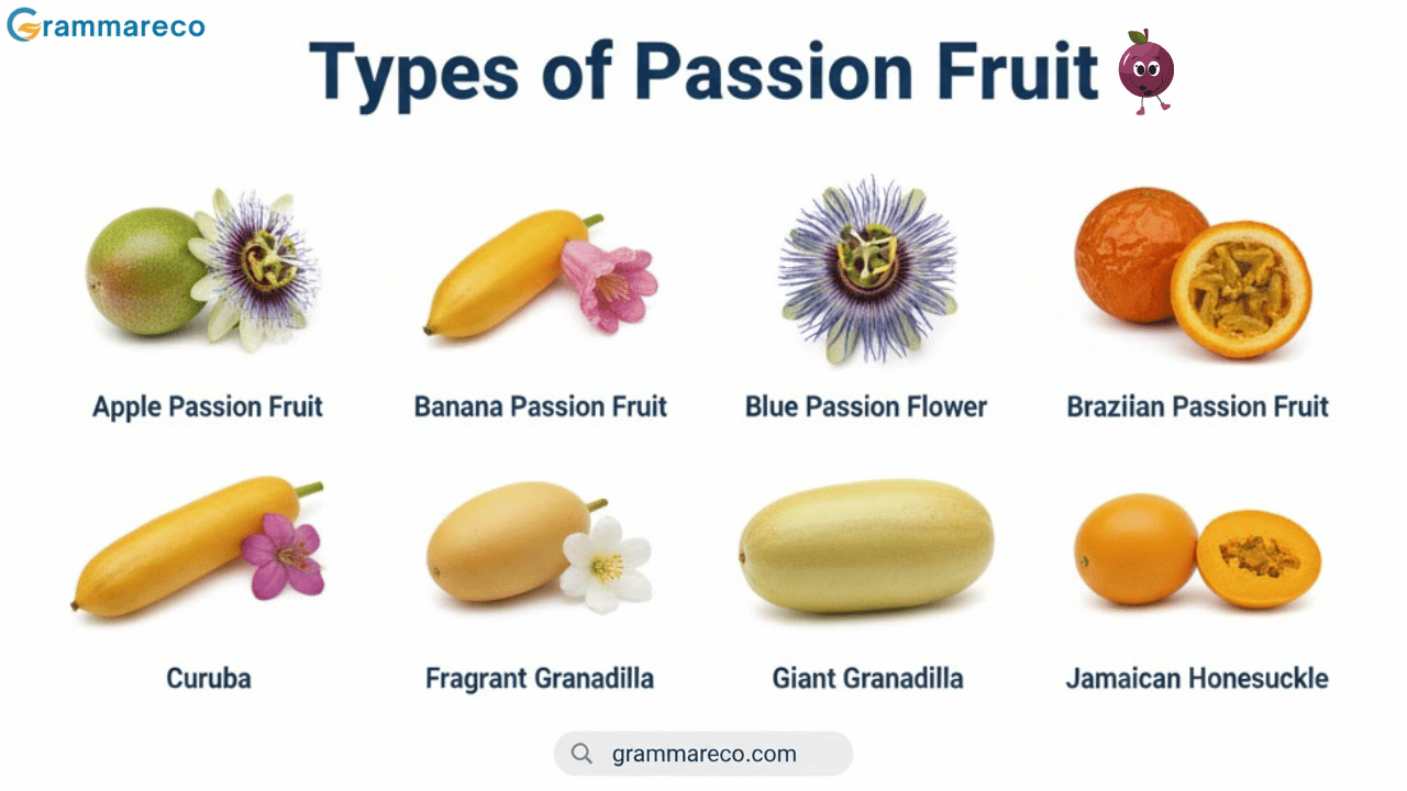 Passion Fruit: Guide to 20 Types of Passion Fruits and Pictures ...