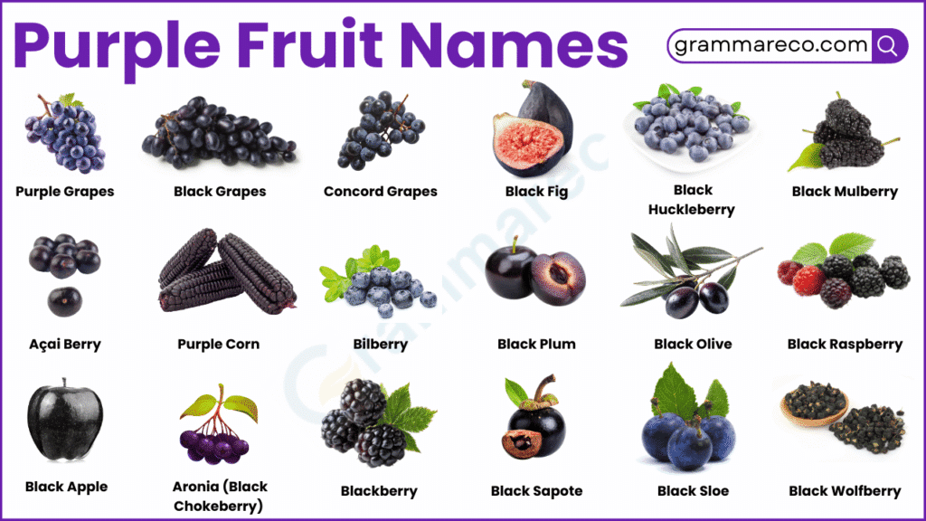 42 Purple Fruits List and Names with Pictures You Should know ...
