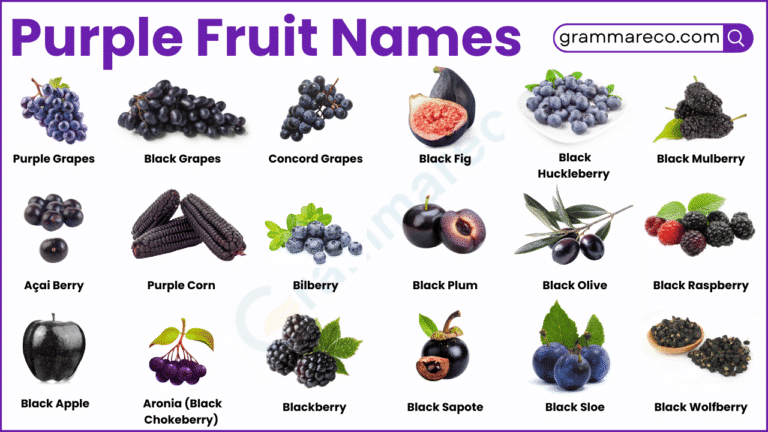 42 Purple Fruits List and Names with Pictures You Should know ...