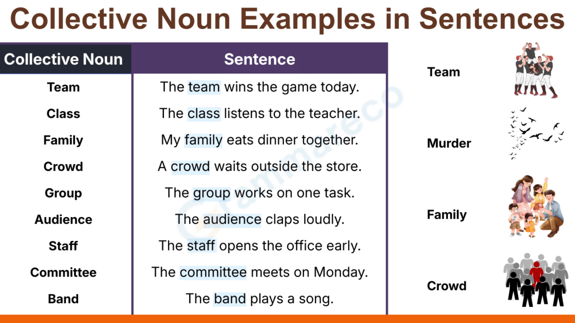 Top 100+ Collective Nouns Examples in Sentences in English | Grammareco.com
