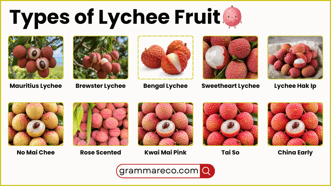 15 Types of Lychee Fruit: Lychee Varieties with Pictures | Grammareco.com