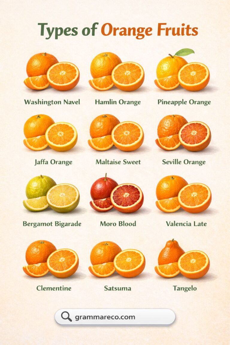 20 Orange Fruit Varieties and Pictures: Types of Orange Fruits ...