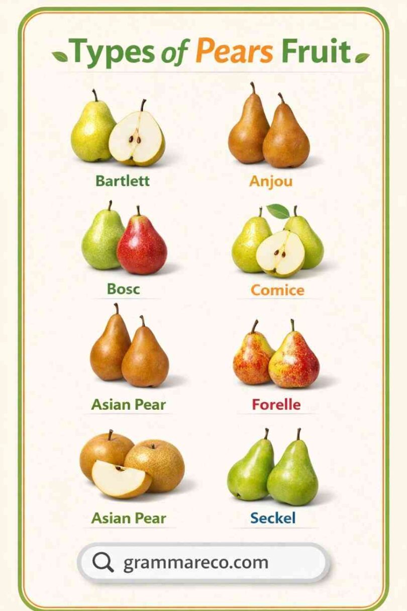 Pear Varieties: 21 Types of Pears with Pictures and Facts | Grammareco.com
