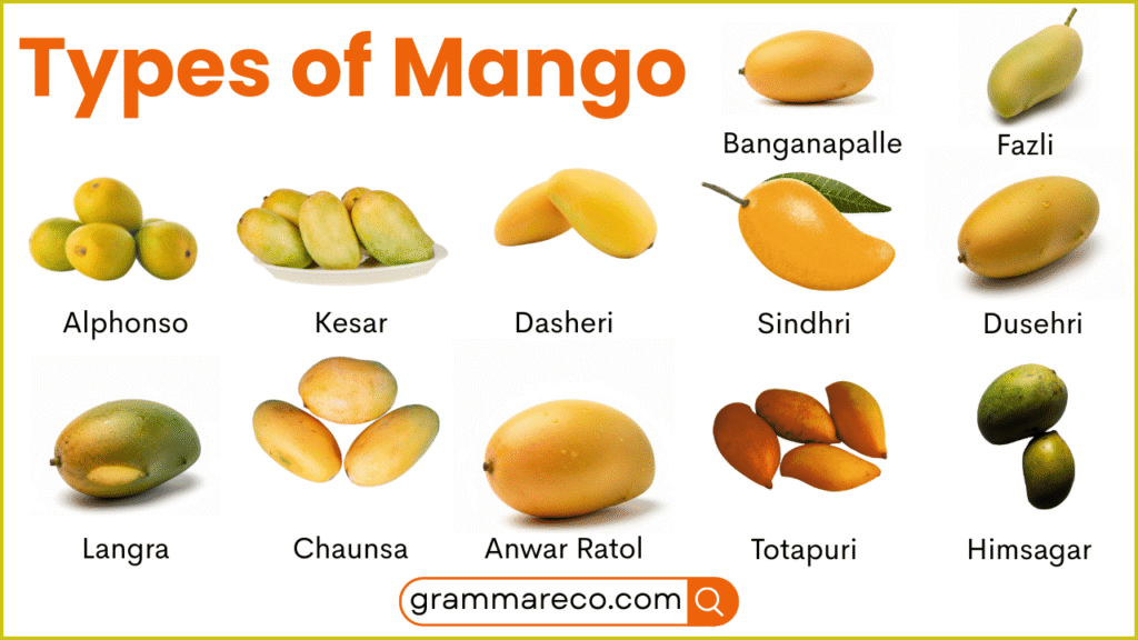 46+ Mango Varieties and Pictures: Different Types of Mango Fruit ...