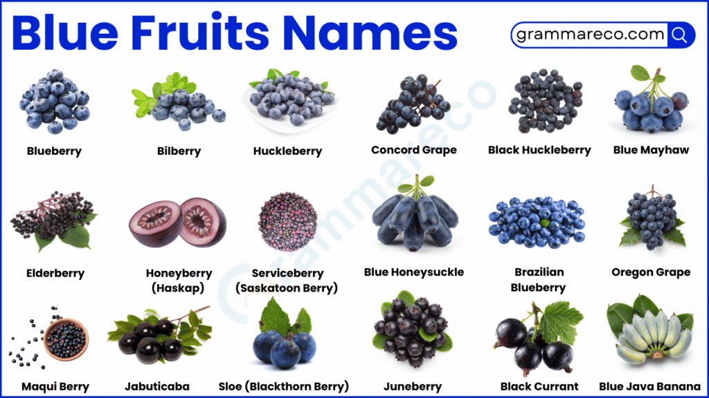 40+ List of Blue Fruits Names that Are Naturally Blue with Photos ...