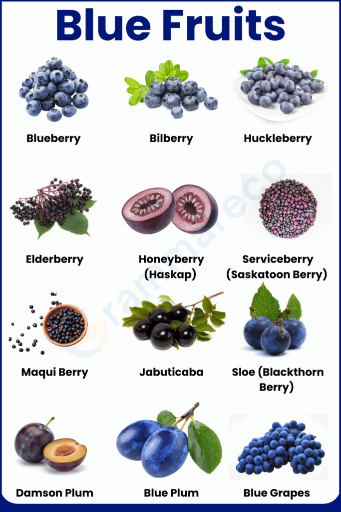 40+ List of Blue Fruits Names that Are Naturally Blue with Photos ...