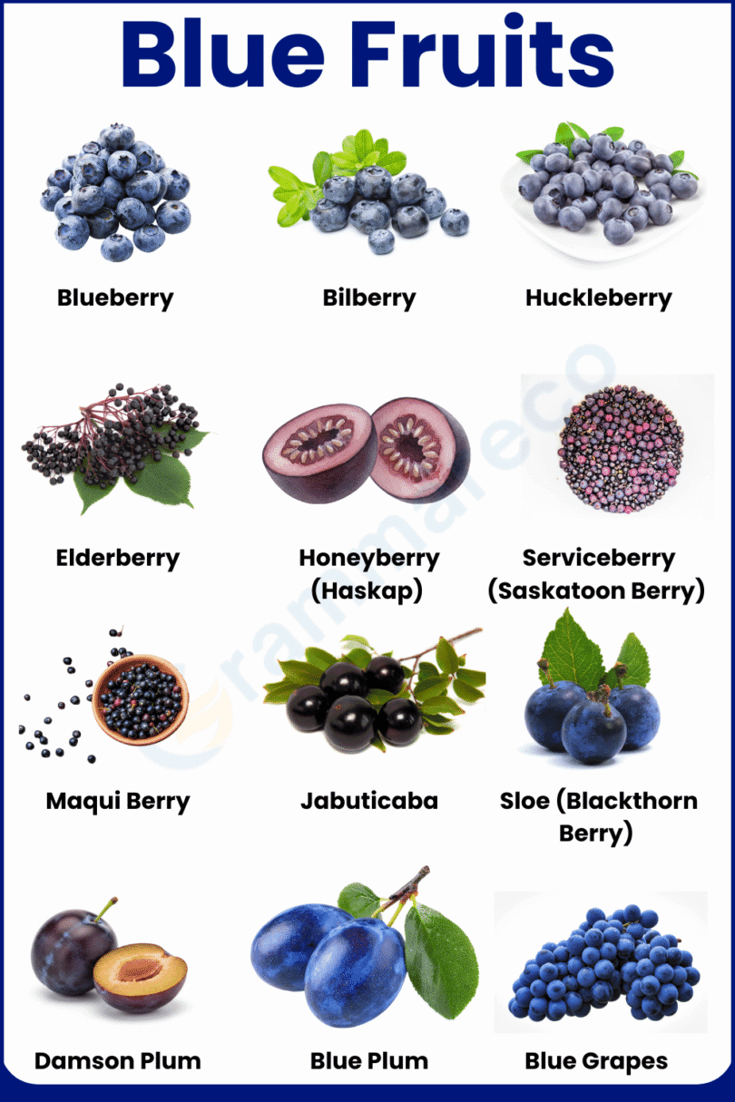 40+ List of Blue Fruits Names that Are Naturally Blue with Photos ...