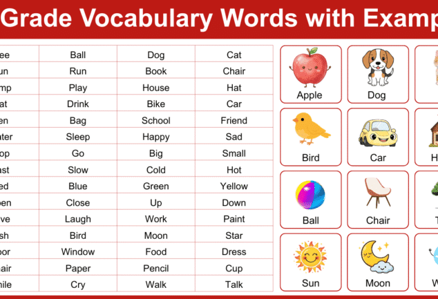 Spelling Words for Grade 1: 150 Vocabulary Words with Examples ...