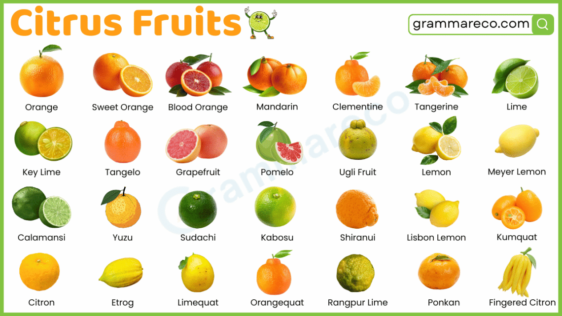40+ Types of Citrus Fruits: List with Names and their Pictures ...