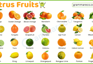 100+ Dried Fruits Names: Complete List, Types, Benefits, and Uses ...