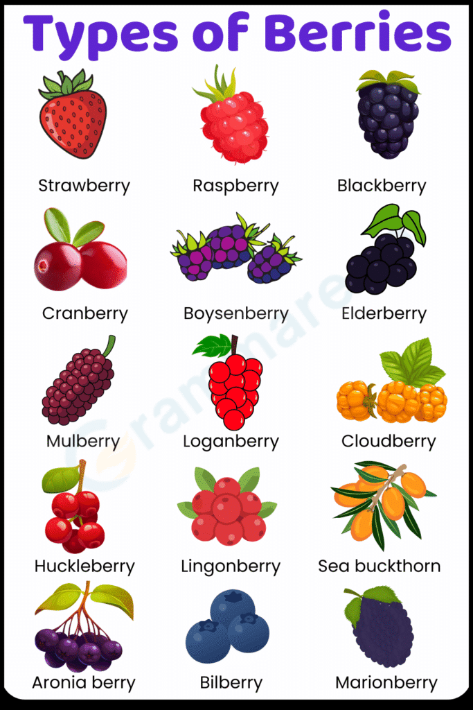 Types of Berries with Pictures: List of 60+ Berries with Names ...