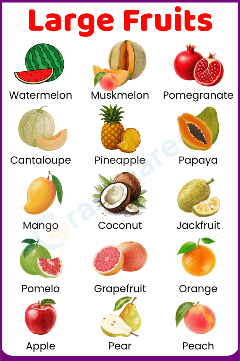 90+ Small and Large Fruits Names with their Pictures | Grammareco.com