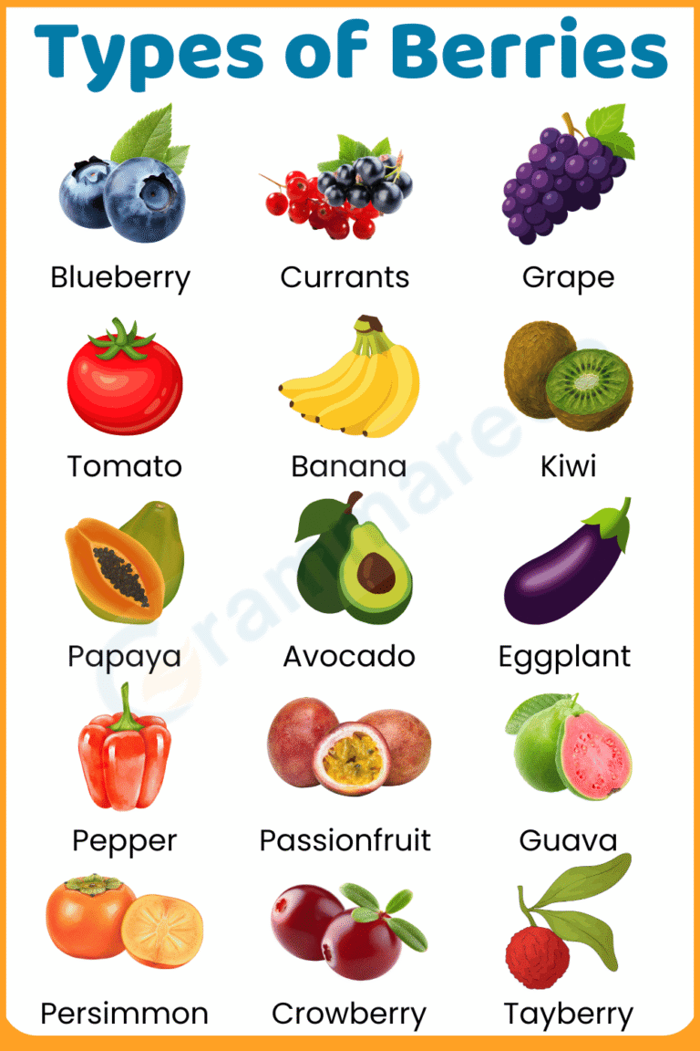 Types of Berries with Pictures: List of 60+ Berries with Names ...