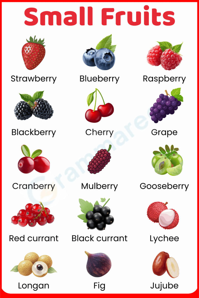 90+ Small and Large Fruits Names with their Pictures | Grammareco.com