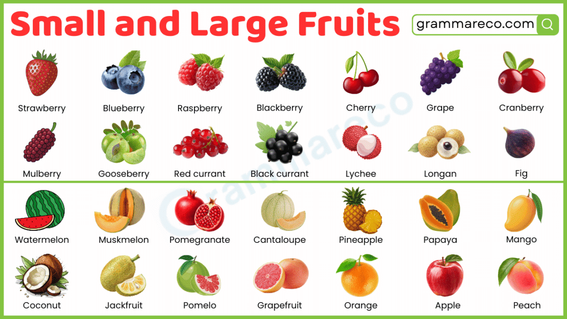 90+ Small and Large Fruits Names with their Pictures | Grammareco.com