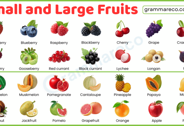 100+ Dried Fruits Names and Pictures: List, with Benefits and Uses ...