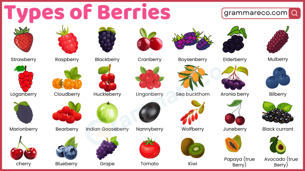 Types of Berries with Pictures: List of 60+ Berries with Names ...