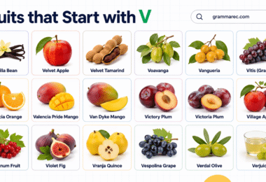 40+ Types of Citrus Fruits: List with Names and their Pictures ...