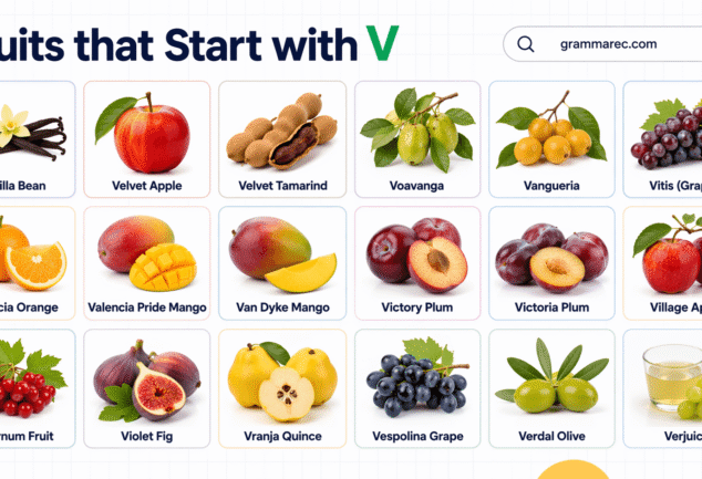33 Black Fruits Names: Ultimate List with their Photos | Grammareco.com