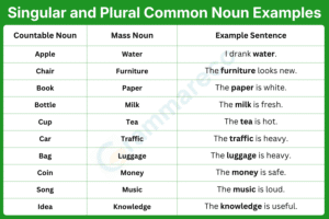 100+ Mass Noun Examples with Sentences and their Pictures | Grammareco.com