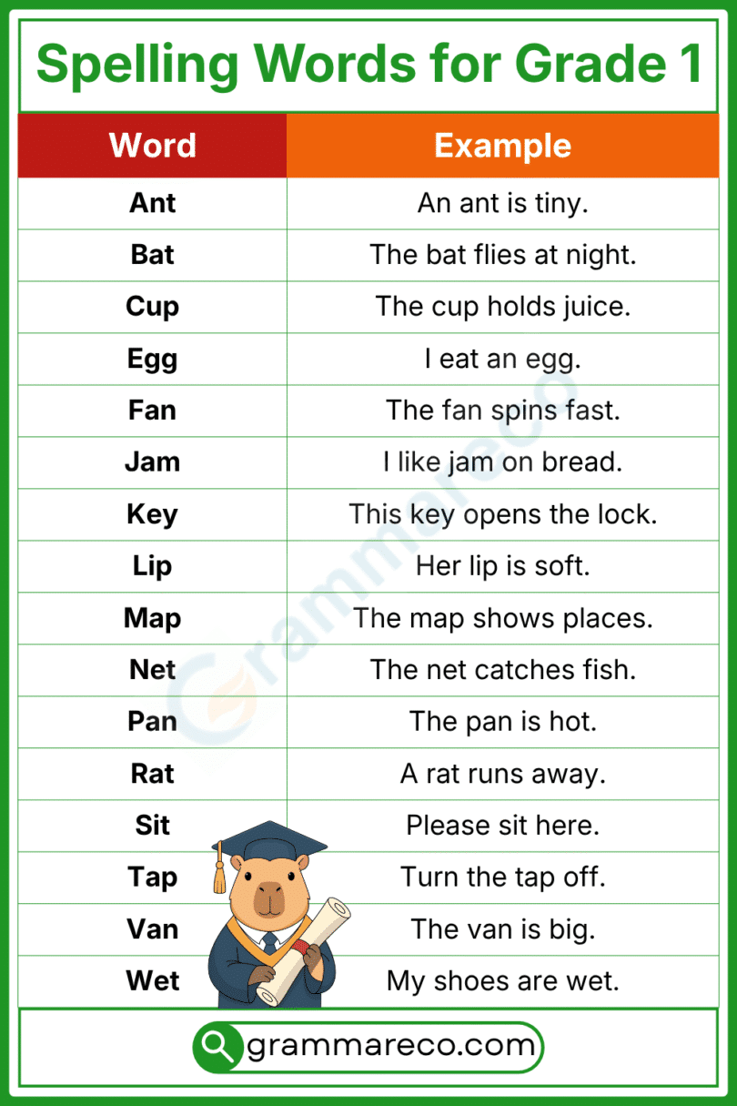 Spelling Words for Grade 1: 150 Vocabulary Words with Examples ...