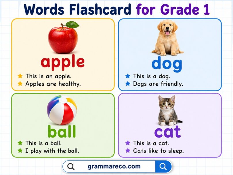 Spelling Words for Grade 1: 150 Vocabulary Words with Examples ...