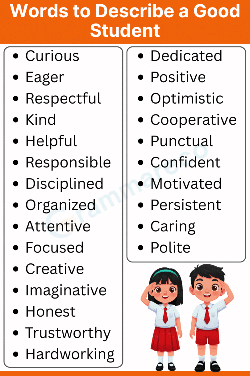 120+ Best Adjectives to Describe a Student with Meanings | Grammareco.com