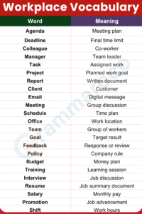 101+ Professional Terms of Workplace Vocabulary Words | Grammareco.com