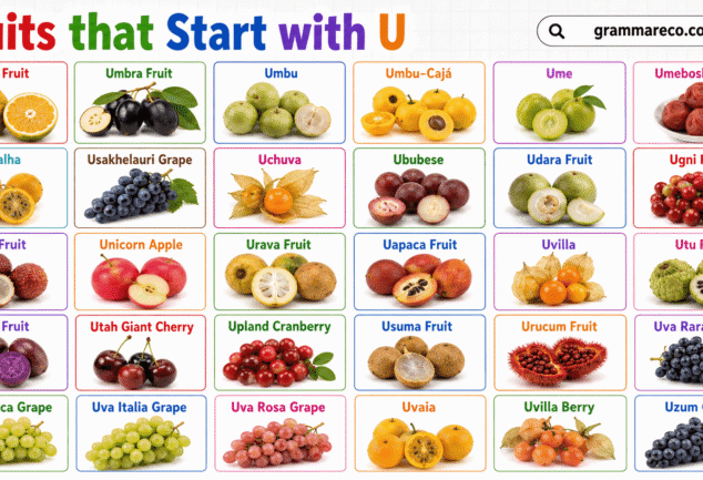 21+ Fruits Begins with Y: Complete List with Names and Facts ...
