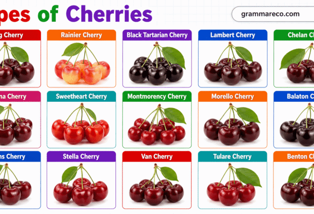 15 Types of Lychee Fruit: Lychee Varieties with Pictures | Grammareco.com